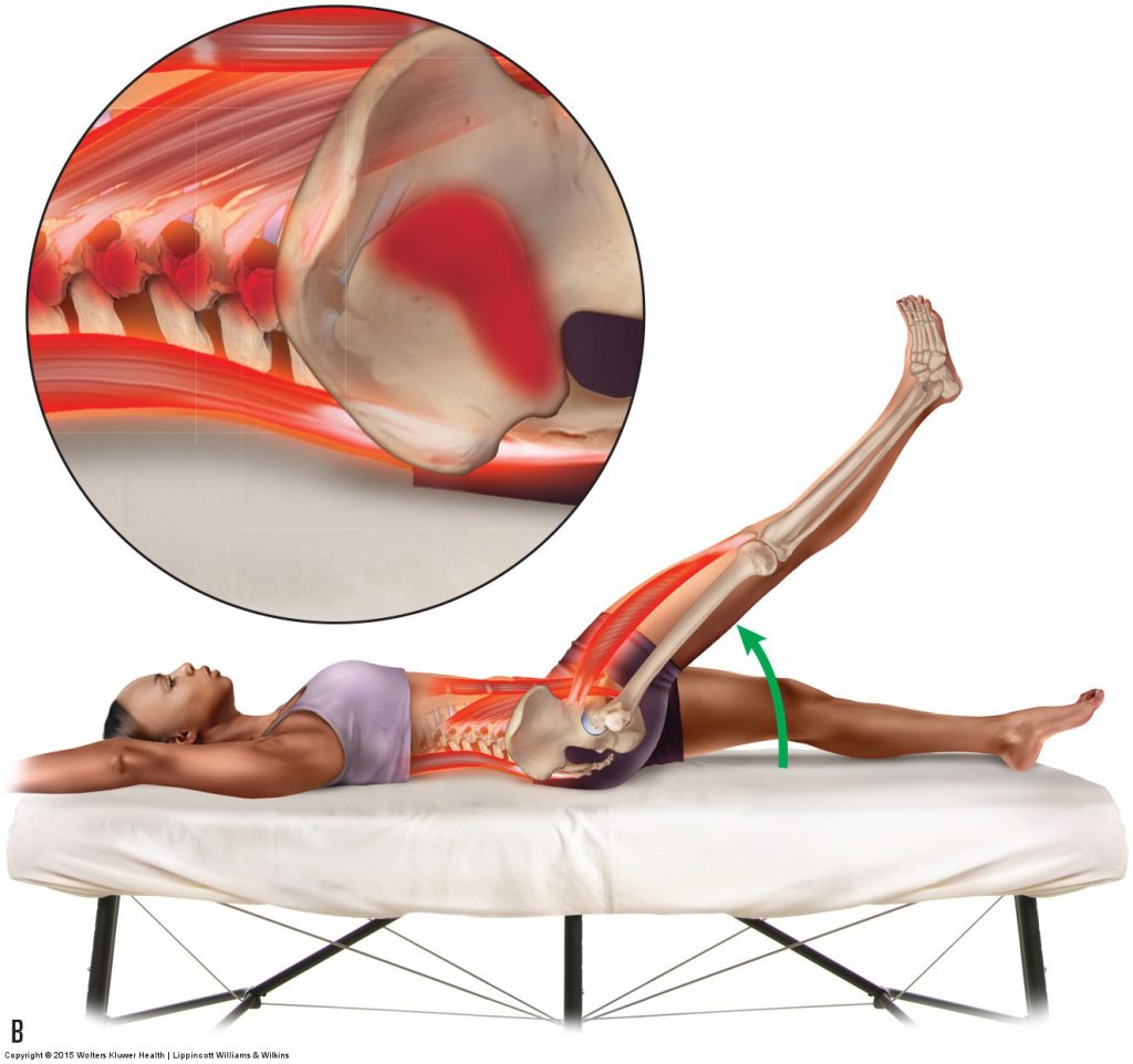 Straight Leg Raise And Manual Resistance Tests For Strains And Sprains
